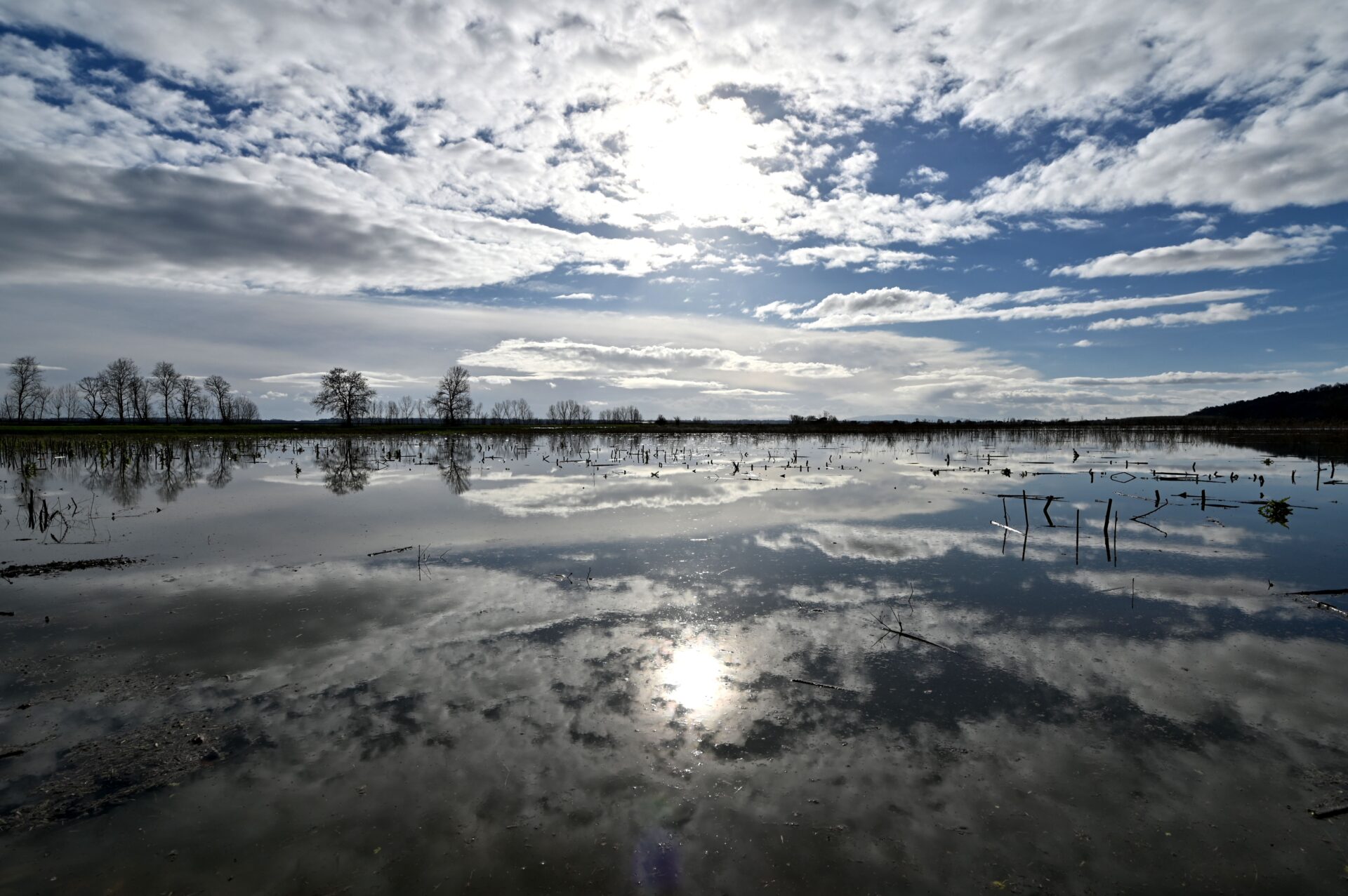 Attrazioni Pisa: oasi Bosco di Tanali, Padule di Bientina | Terre di Pisa