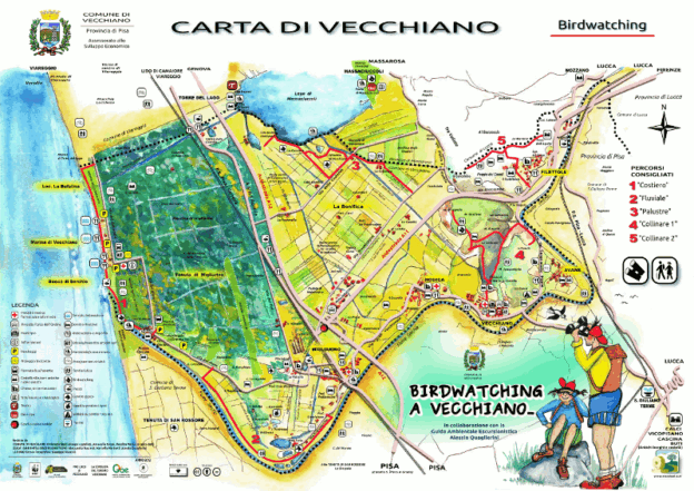 Itinerari | Birdwatching tra il Serchio e Marina di Vecchiano | Terre ...