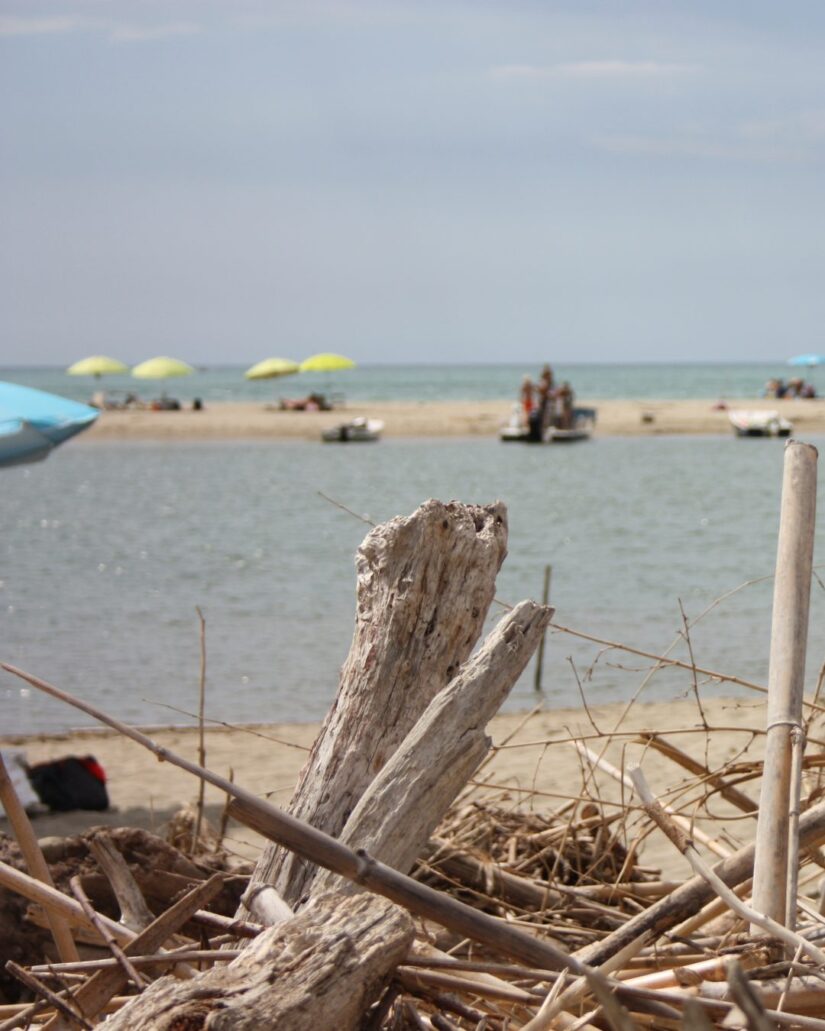 La spiaggia di Marina di Vecchiano | Terre di Pisa